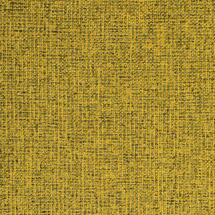 Plutone CS 20 – Wortley Group